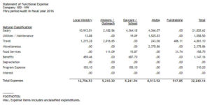 Statement of Functional Expense (Sneak Peak) - Shelby Systems